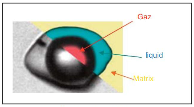 Raman Spectroscopy in Forensic Science